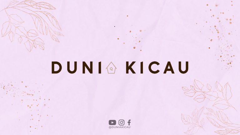 The Ultimate Checklist for Preparing to Study in the United States ...